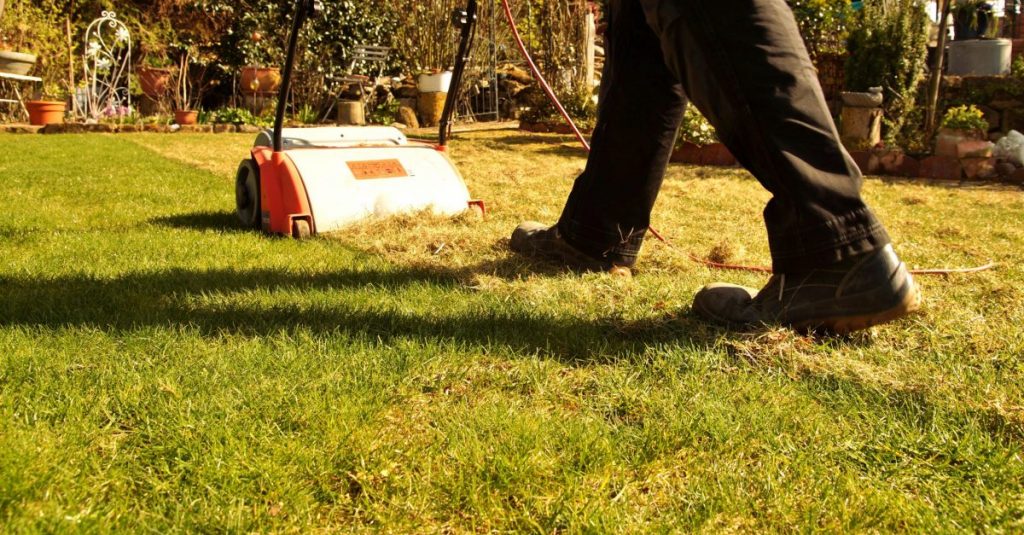 How to Remove Thatch from Your Lawn | Our Kitchen Sink - Unclogging ...